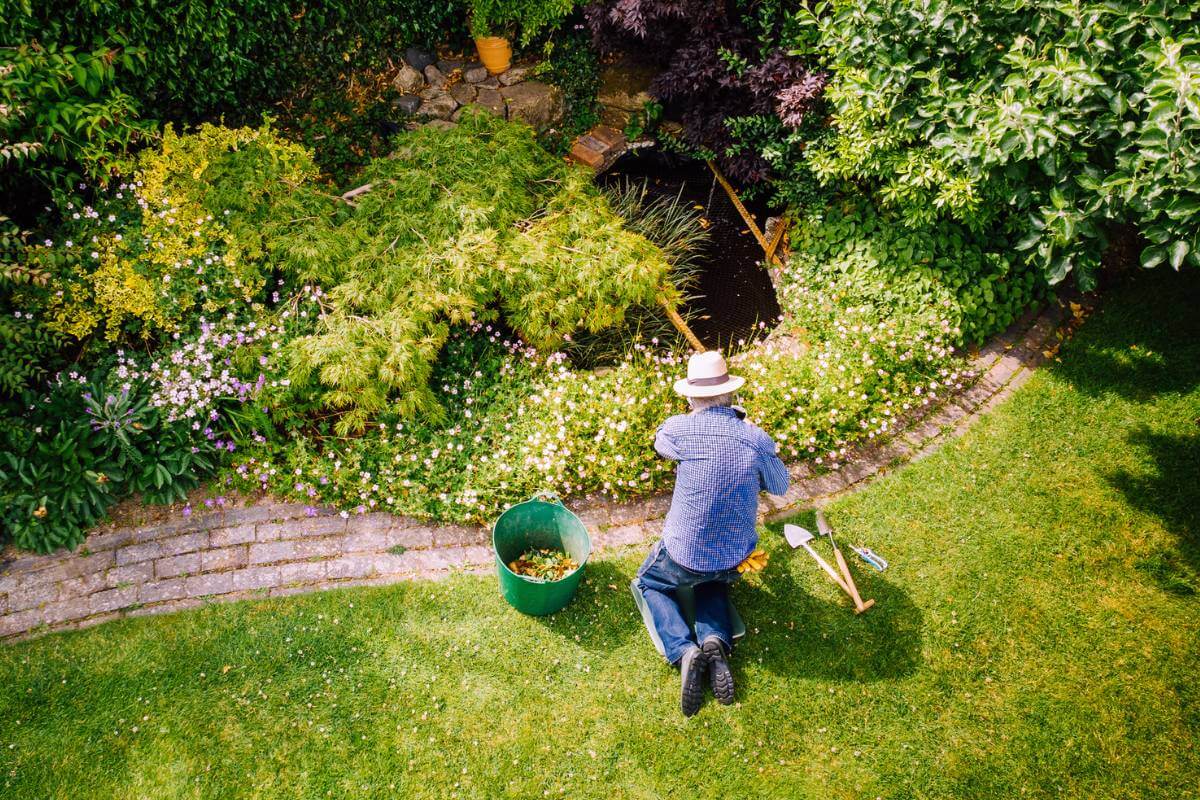 Our Top 6 Eco Friendly Landscaping Tips | JTD Building Supplies