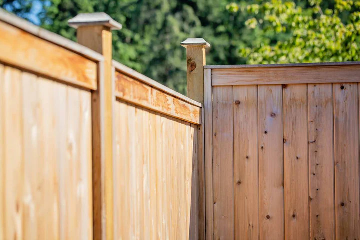 Our Favourite Fence Panel Designs | JTD Building Supplies